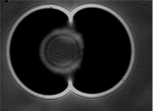 Caustics | Realize Engineering