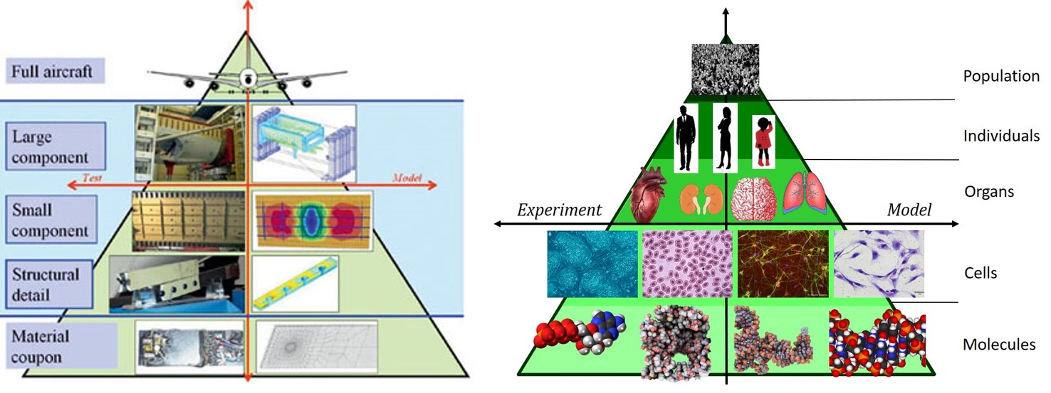 Hierarchical modelling in engineering and biology | Realize Engineering