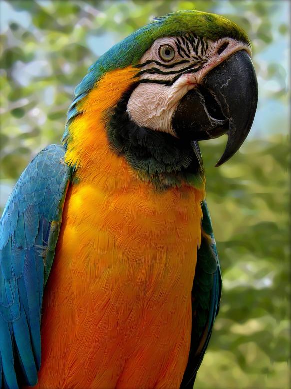 Ancient models and stochastic parrots | Realize Engineering
